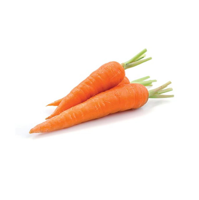 Tarya – Store – Tarya – Store